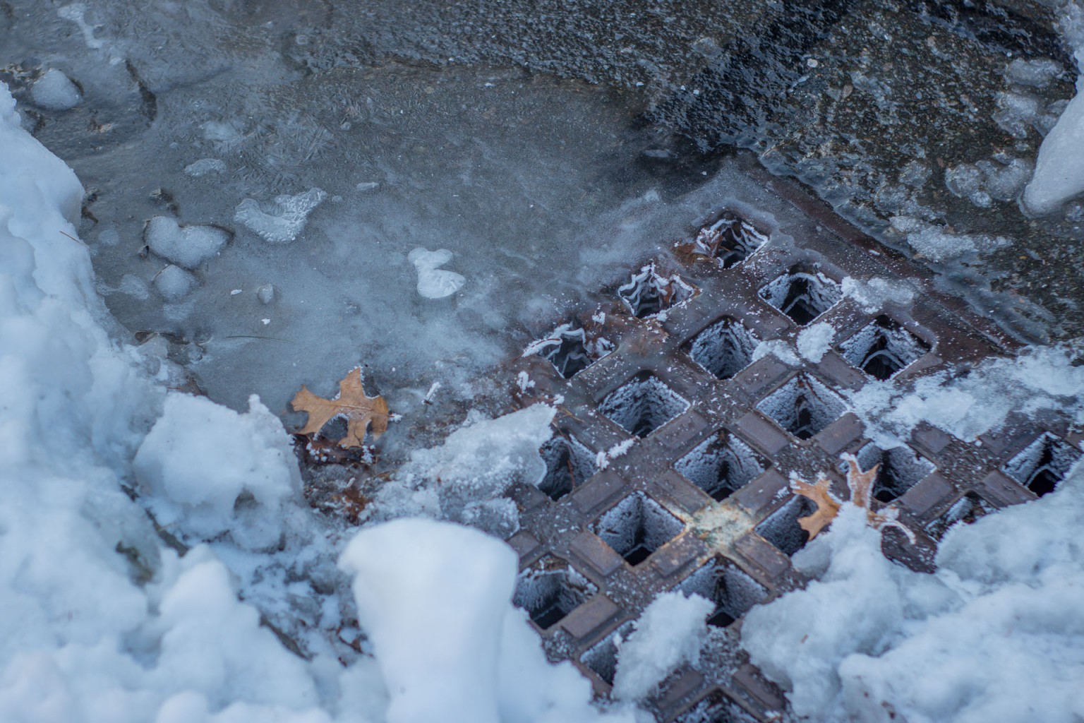 Winter Drain Problems - Protech Property Solutions